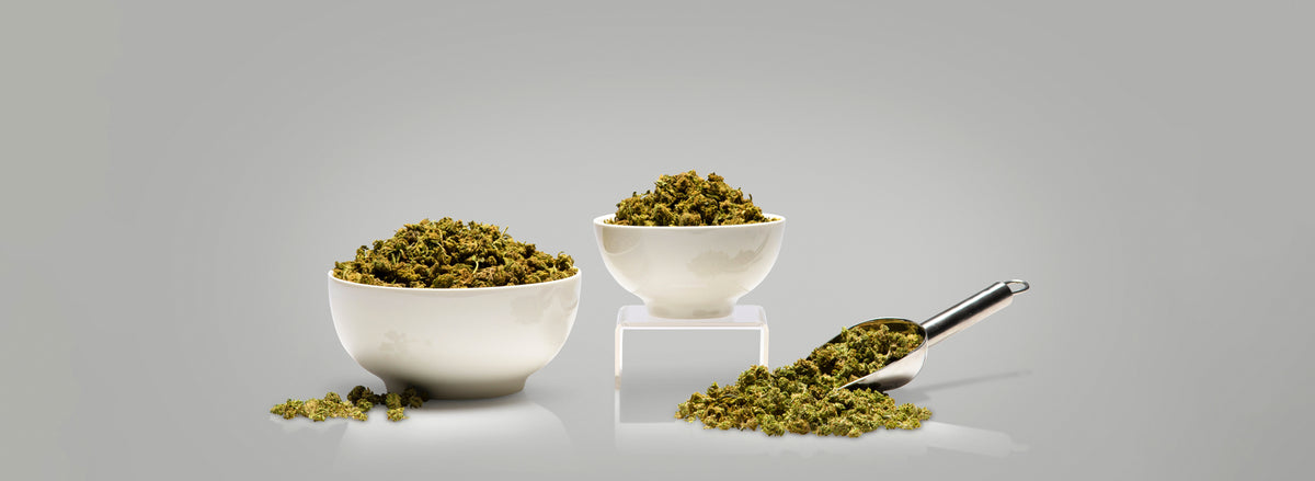 Popcorn Buds (Wholesale) – Nevada Crest Farms